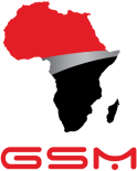 GSM TMS